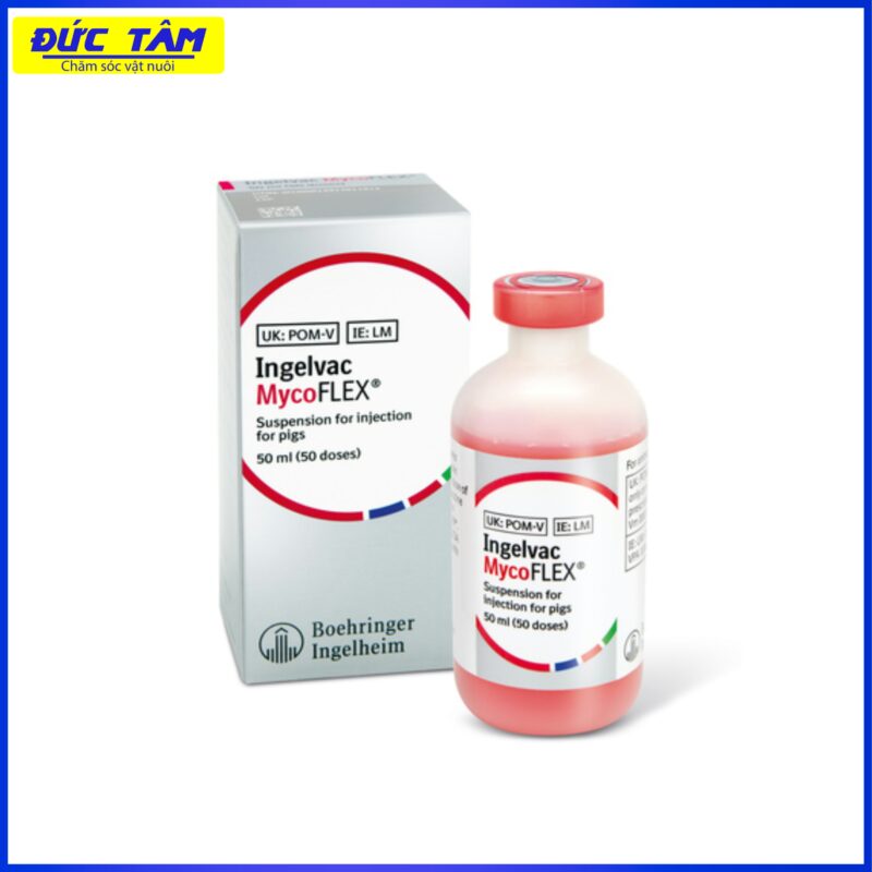 INGELVAC MYCOFLEX – Thú y Đức Tâm