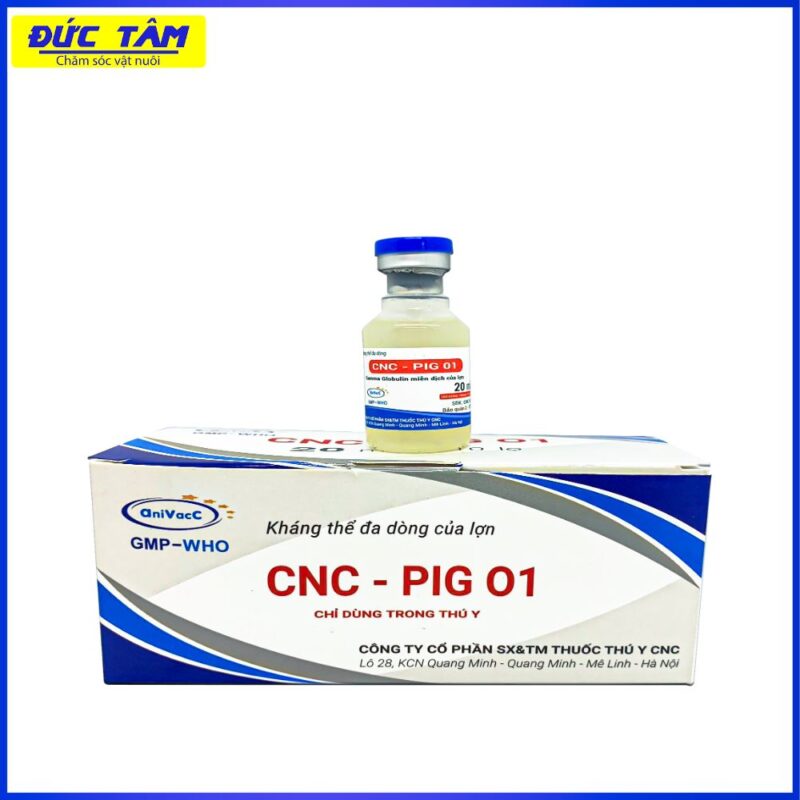 Kháng thể đa dòng của lợn CNC – PIG 01 – Thú y Đức Tâm
