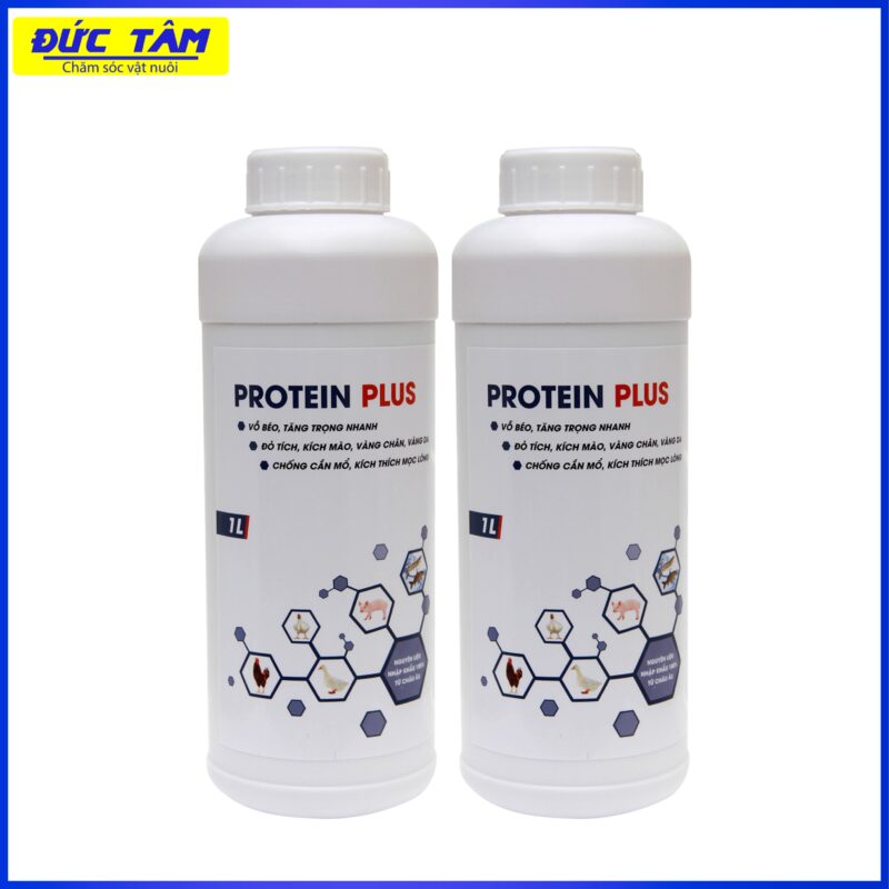 PROTEIN Plus – Thú y Đức Tâm