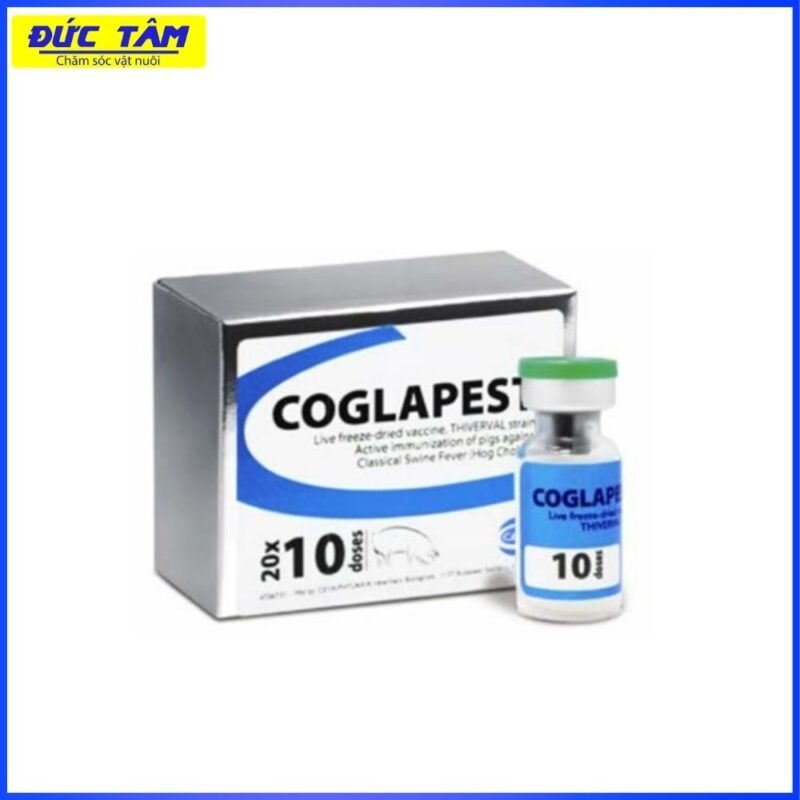 Vx Tả COLAPEST Pháp L10 – Thú y Đức Tâm